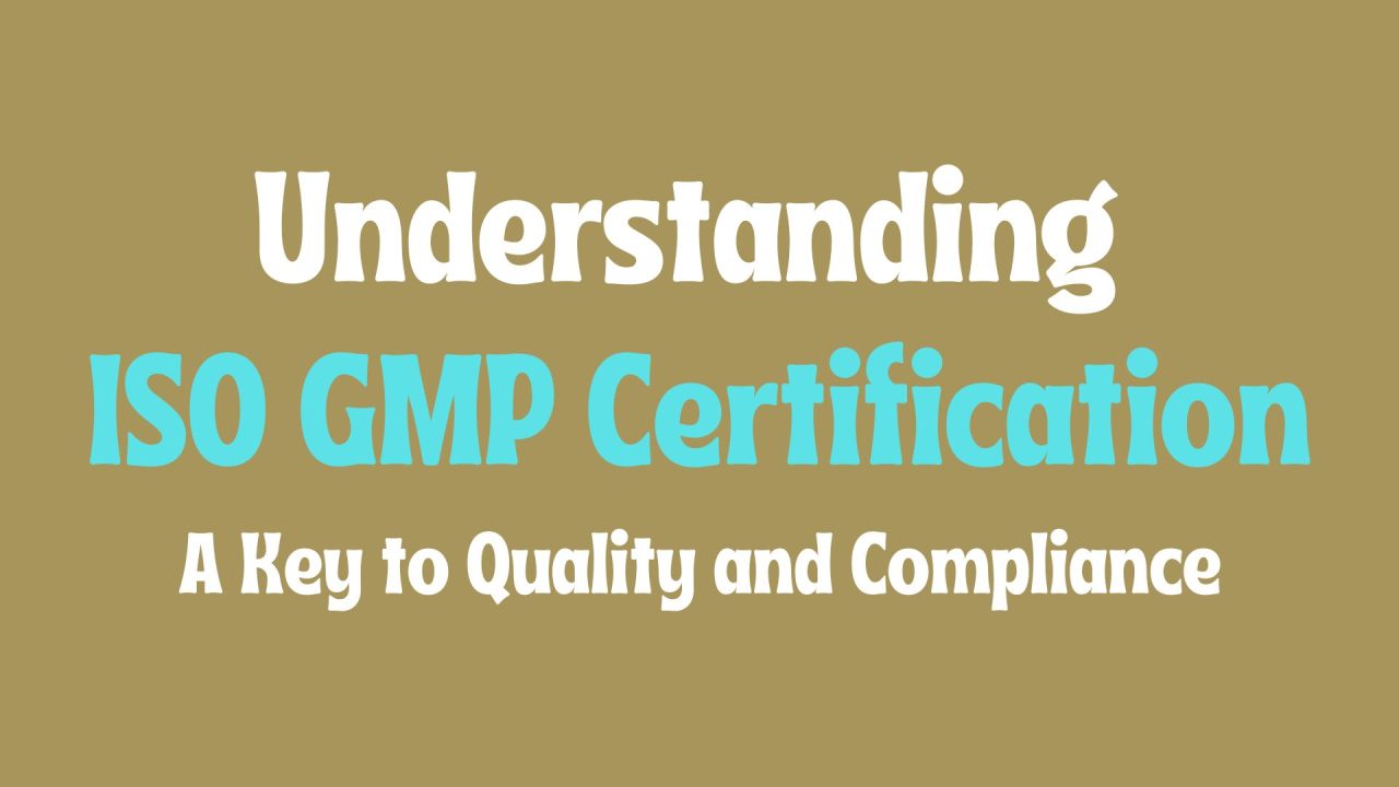 The Importance of GMP Certification for Your Business - Arora 297 ...
